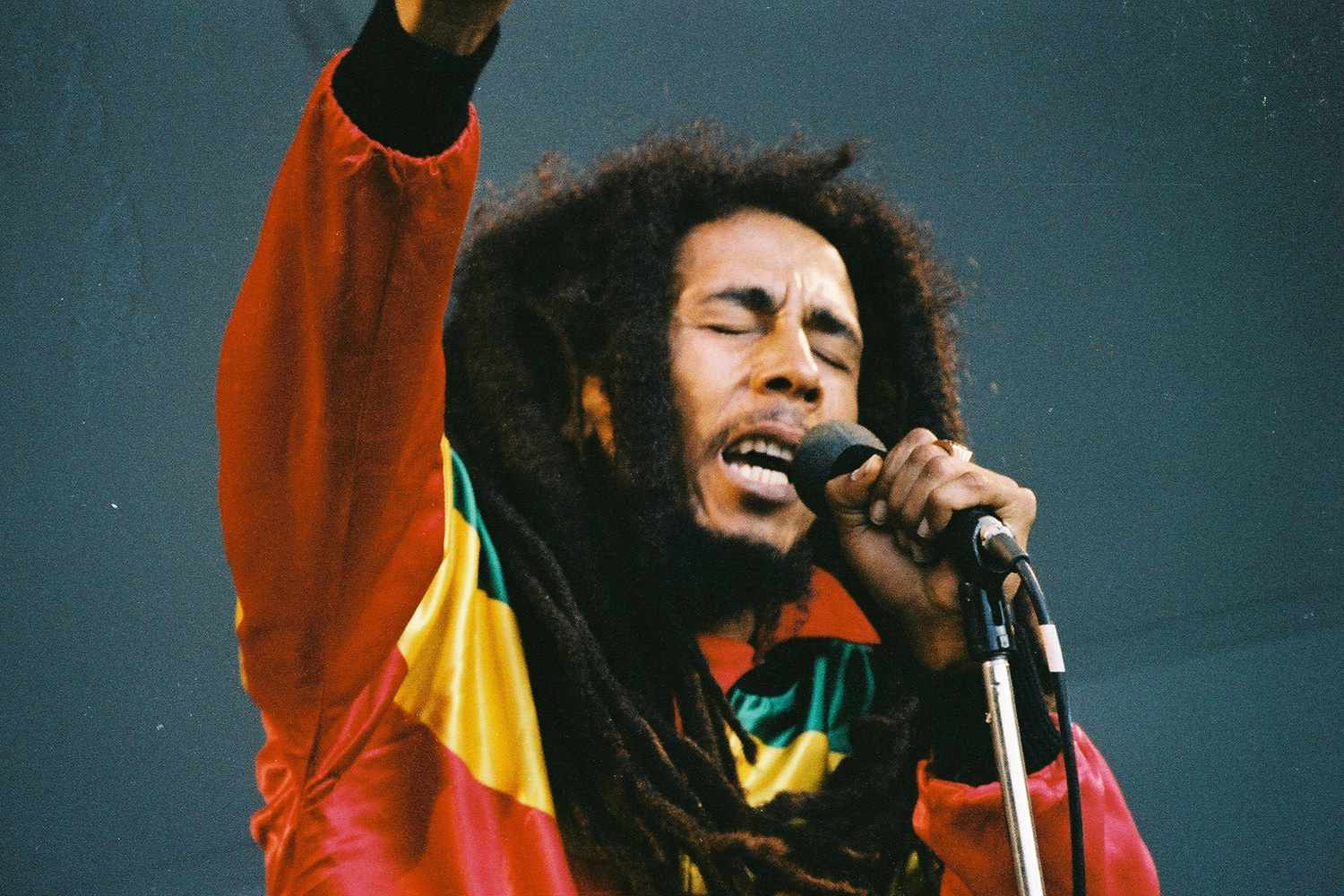 Exploring the Artistic Journey and Influence of the Most Famous Cannab ...